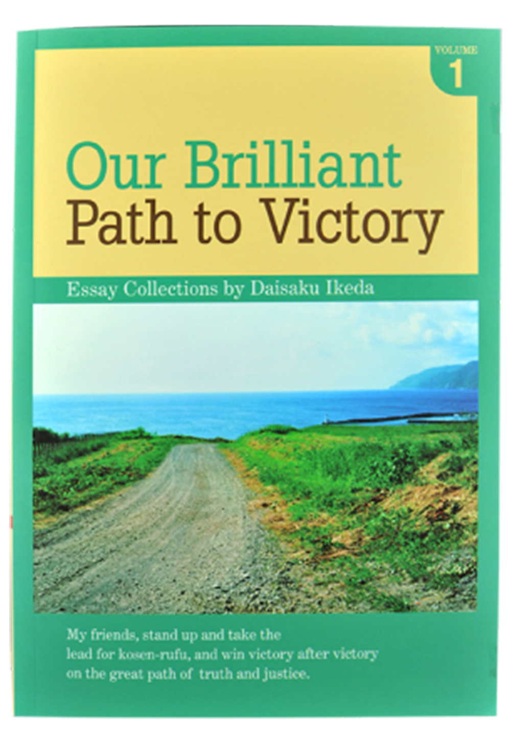 Our Brilliant Path to Victory, vol. 1 | SGM